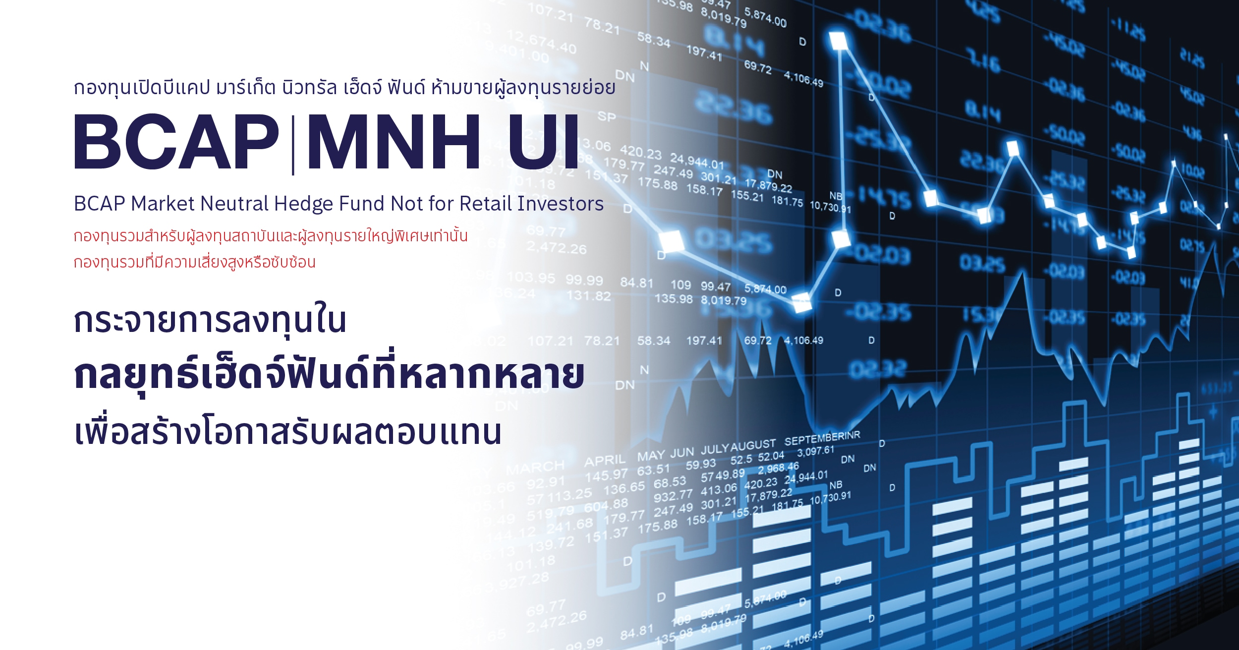 BCAP Market Neutral Hedge Fund